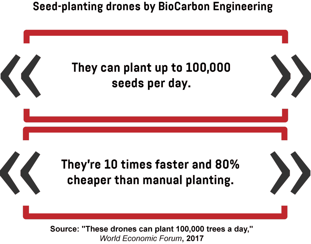 Drones, AI, and reforestation – making the planet greener and healthier ...
